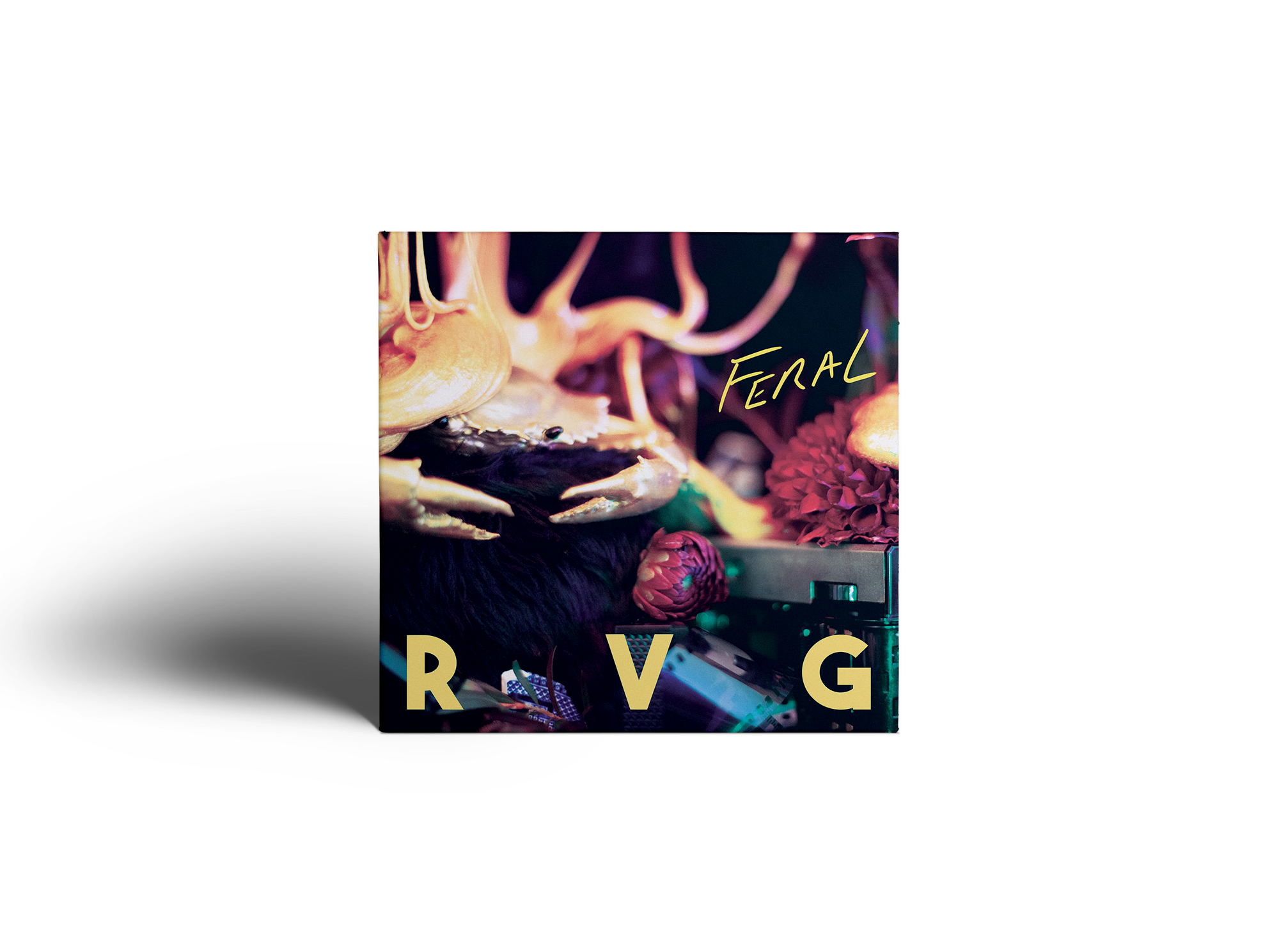 RVG – Feral – FIRE RECORDS