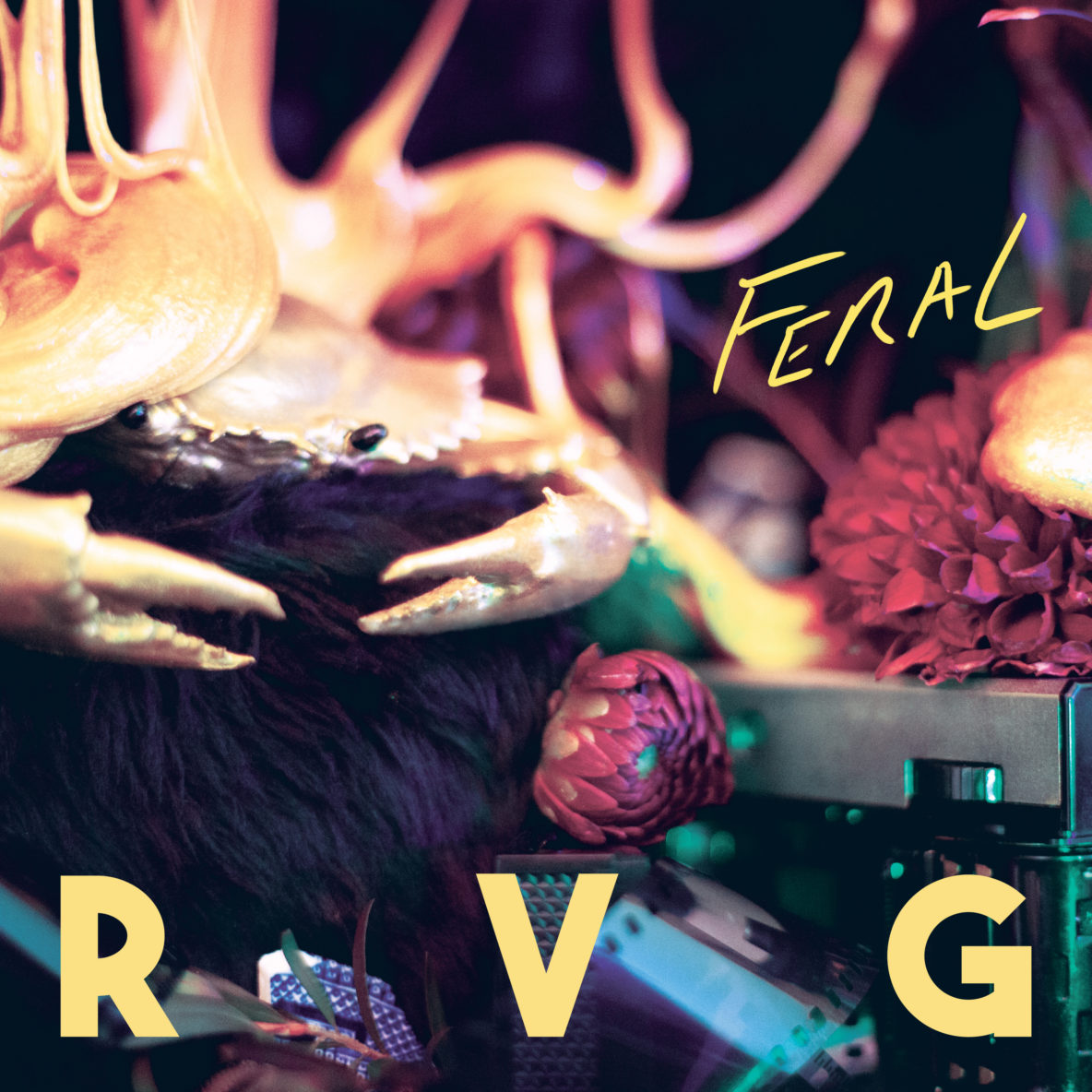 RVG – FIRE RECORDS