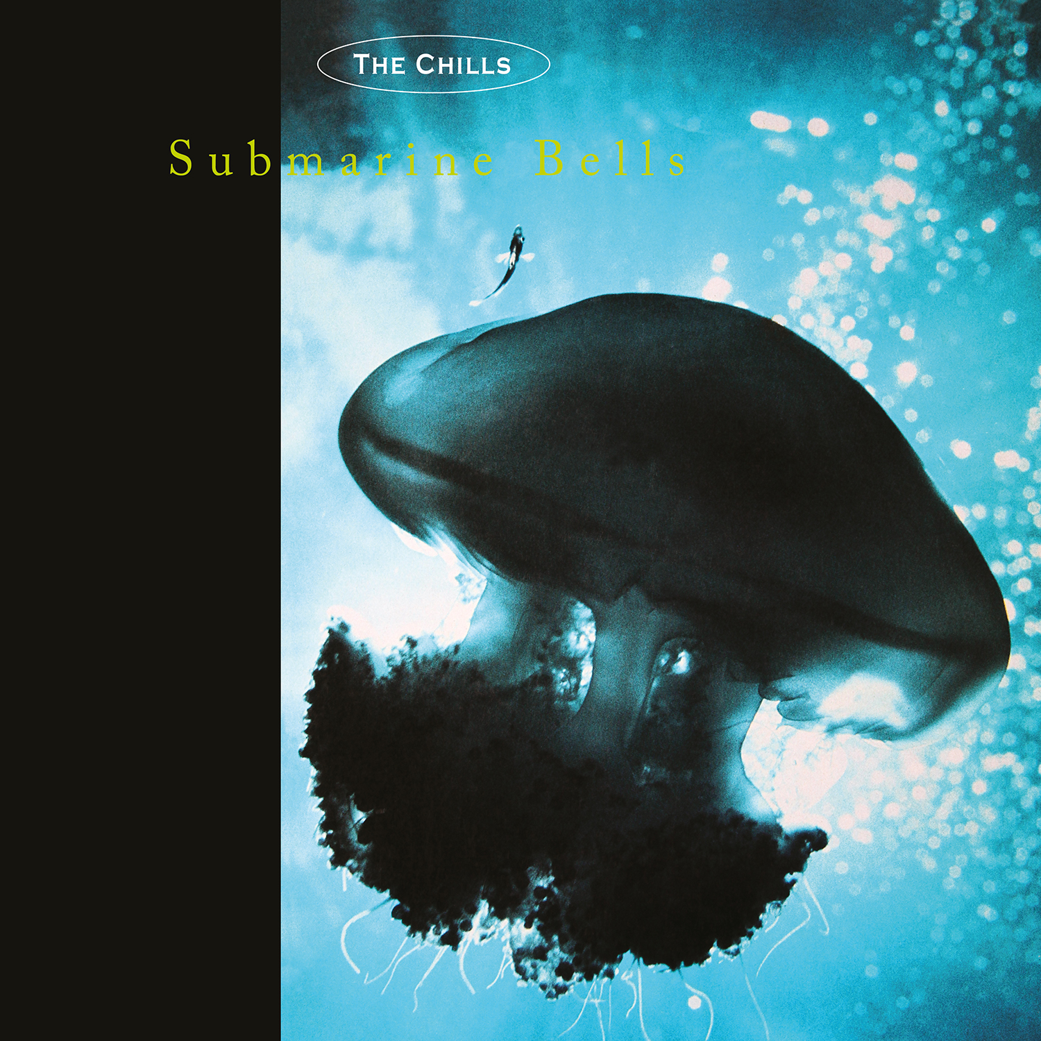 The Chills – Brave Words (Expanded and Remastered) – FIRE RECORDS