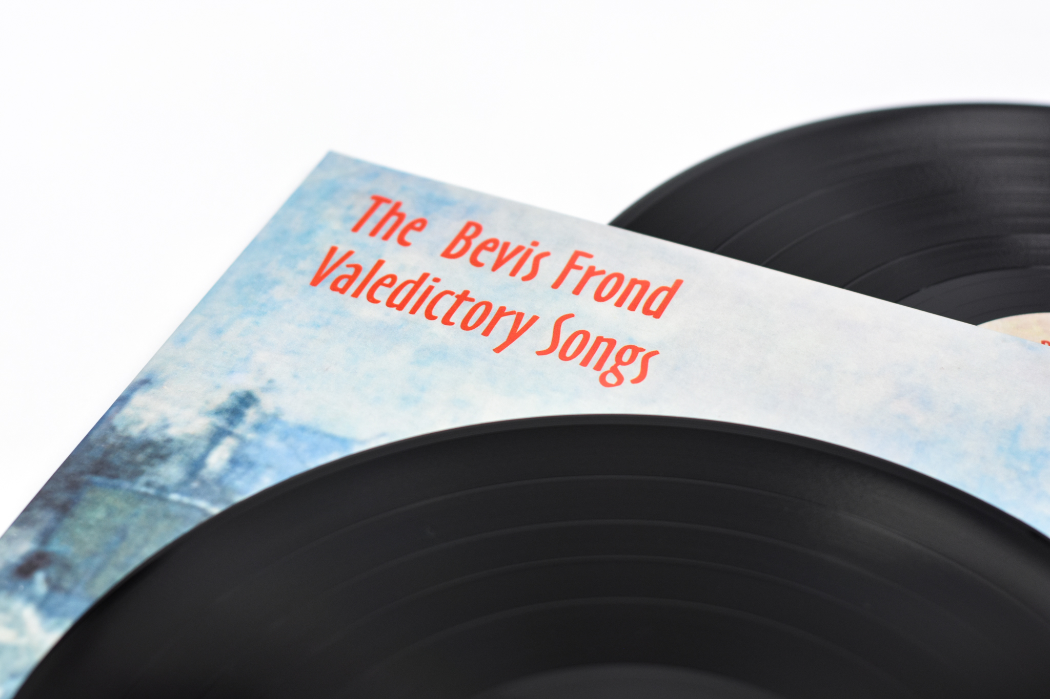 The Bevis Frond – Valedictory Songs – FIRE RECORDS