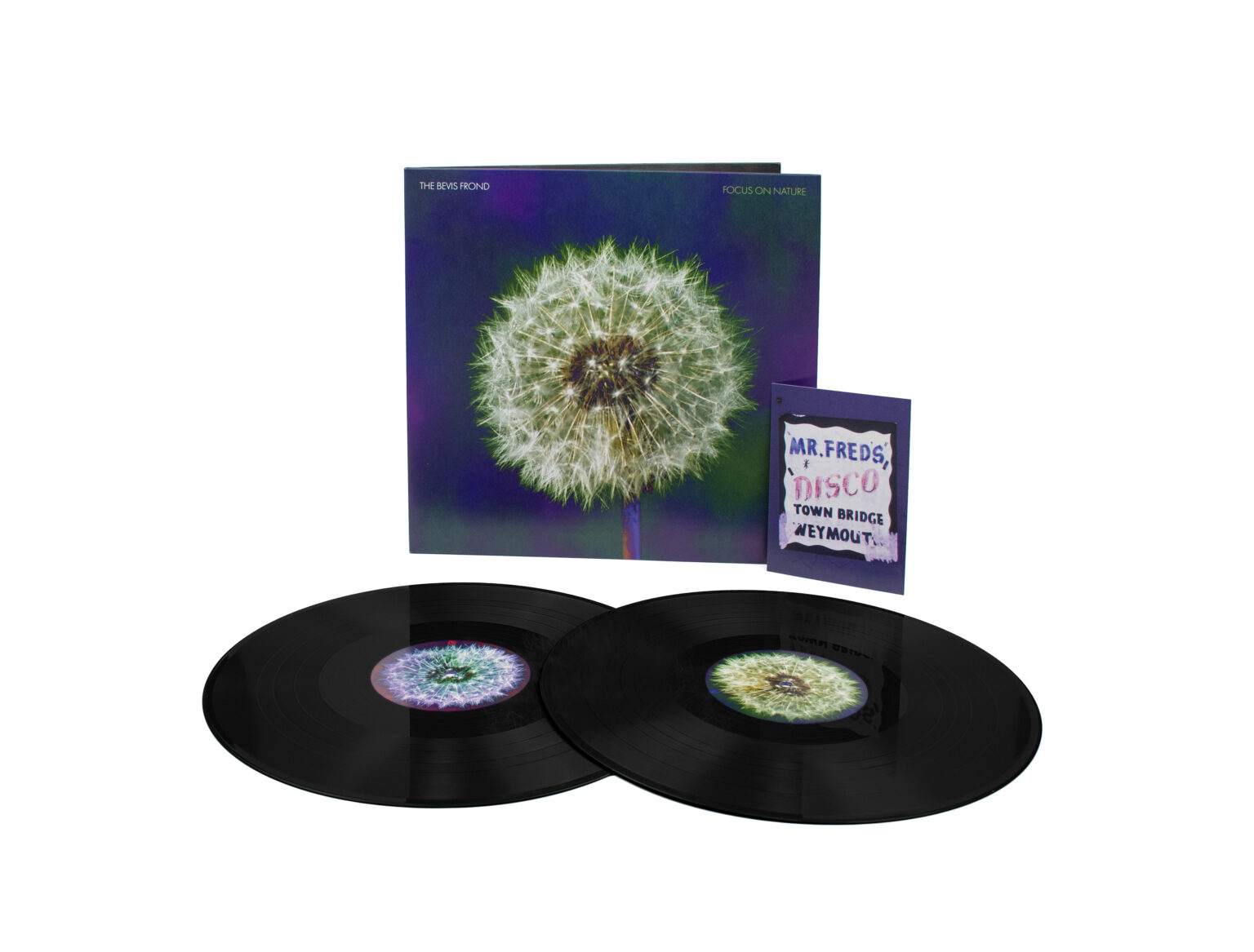 The Bevis Frond – Focus On Nature – FIRE RECORDS