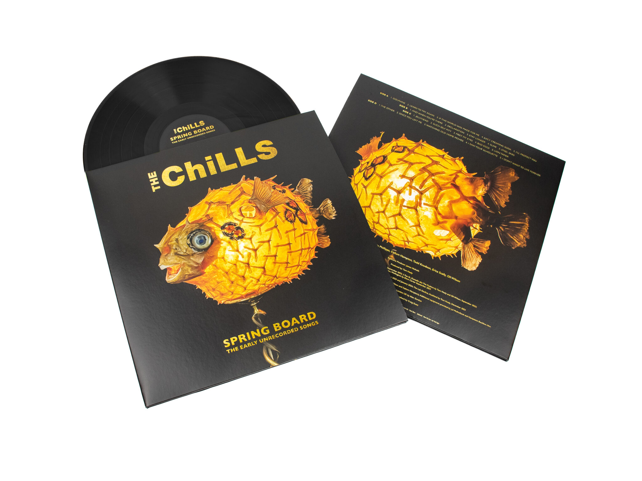 The Chills – Spring Board: The Early Unrecorded Songs – FIRE RECORDS