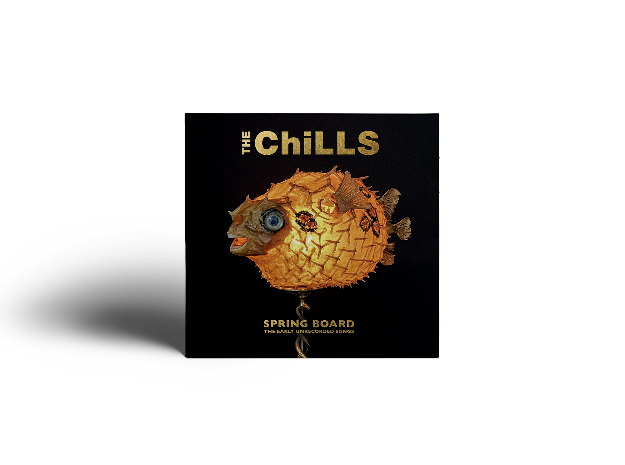 The Chills – Spring Board: The Early Unrecorded Songs – FIRE RECORDS